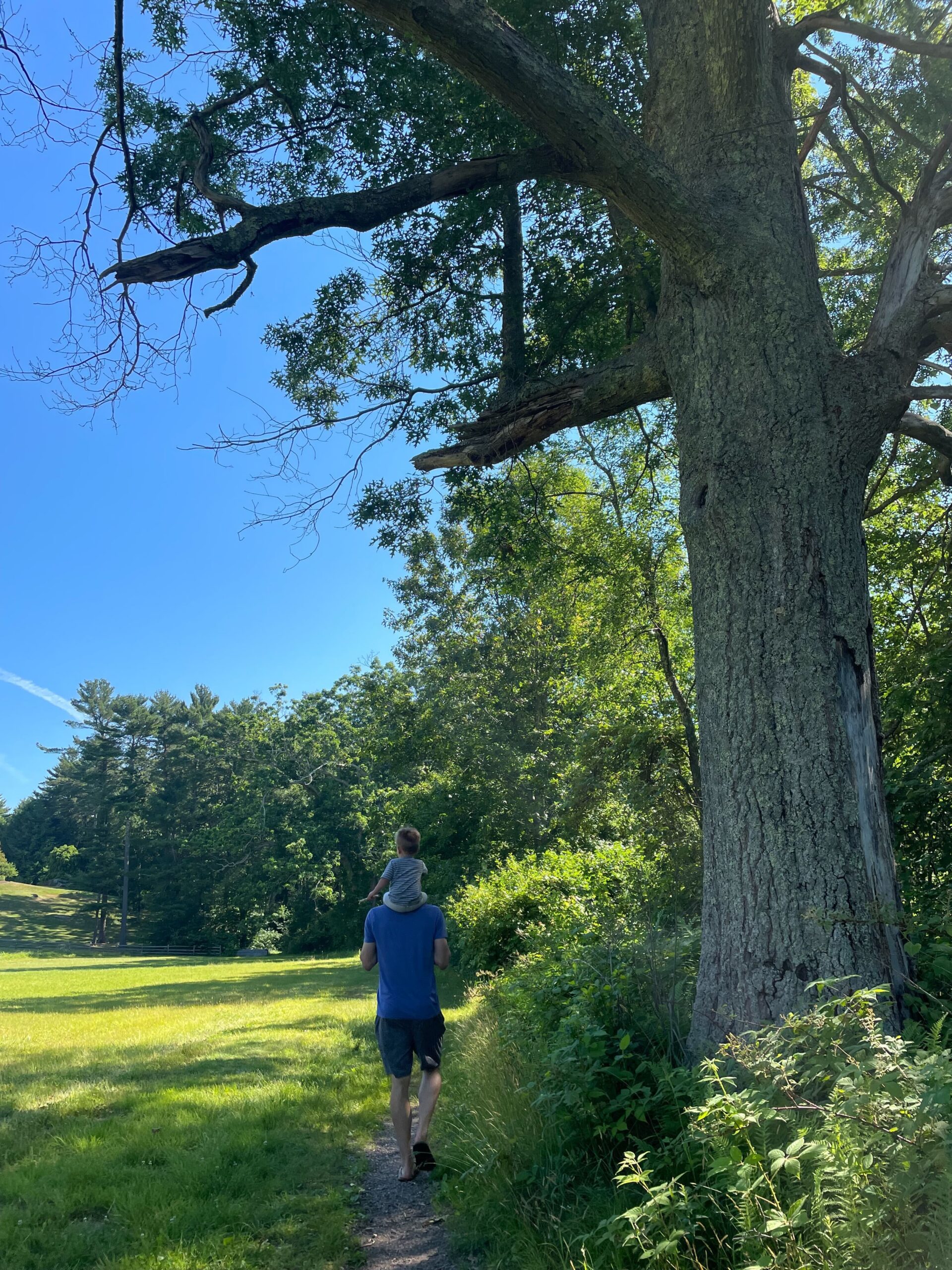 Pixability Supports Pride Month With Annual Steps to Stonewall ...