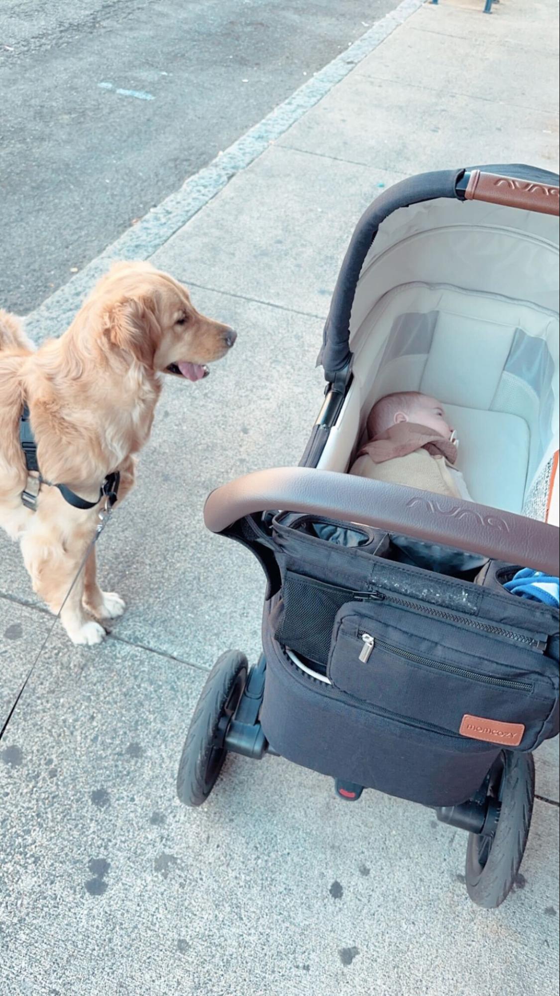 Pixability Kicks Off Annual Steps to Stonewall Challenge To Support ...